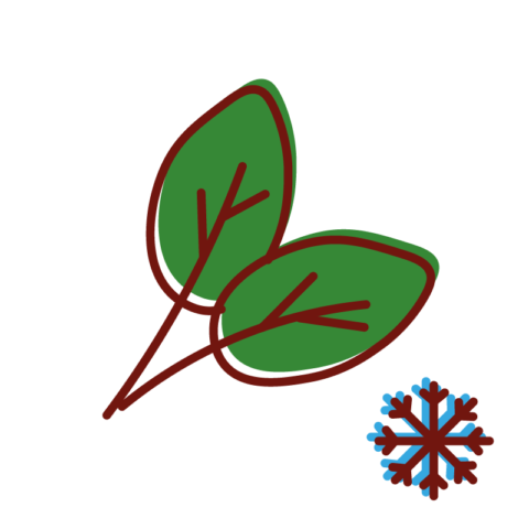 BONDUELLE LEAF SPINACH – FROZEN | Cheesman Bros Ltd